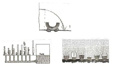Fichier Motsagro Liebig Et La Loi Du Minimum 3  — Les Mots De Lagronomie