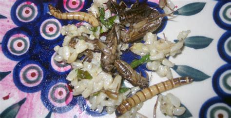 Limeyg Writing About Eating Tongues Hearts Bugs Worms A Halloween Feast