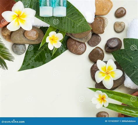 Spa Background With Green Leaves Stones Flowers And Cosmetics On White Stock Image Image Of