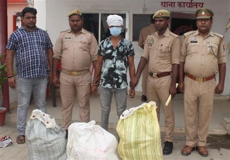 India News Report नशे पर शिकंजा पचास किलो अवैध गांजे के साथ दो आरोपियों को रोहनिया पुलिस ने