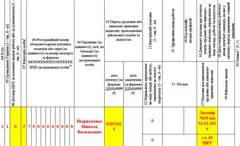 Приклад №13 2 обєднаної звітності Додаток Д5 договір ЦПХ цивільно правового характеру