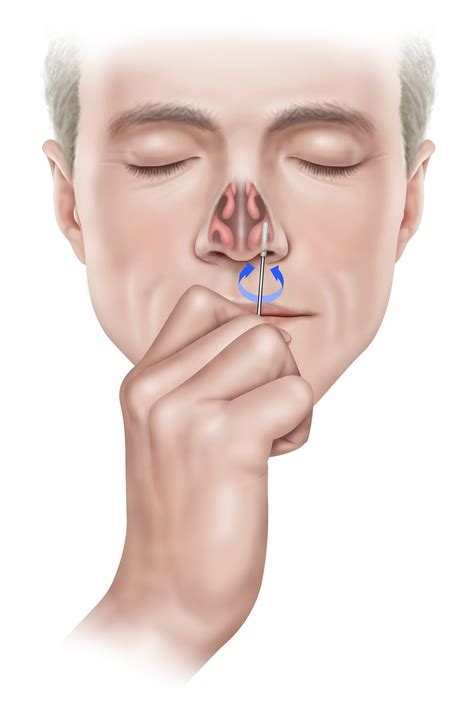 Hologic Respdirect Collection Kit Instructions Nasal Main English Hologic