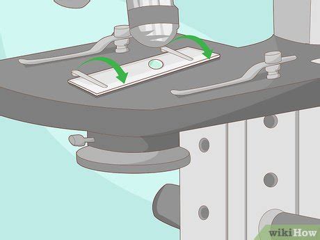 How To Use A Microscope With Pictures WikiHow
