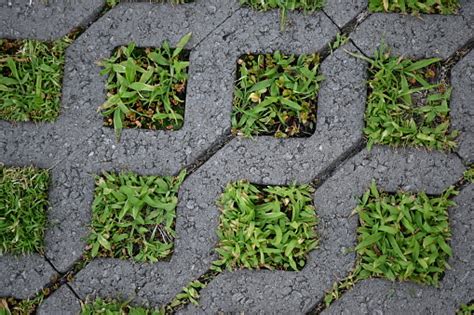 잔디가 있는 콘크리트 격자의 상단 사진 회색 자연석으로 만든 사각형 타일의 배경 질감입니다 도로의 콘크리트 가로 기하학적 포장