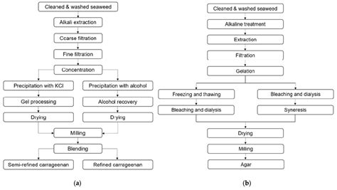 Conventional Extraction Method Of Refined Carrageenan Rc And