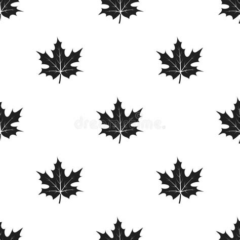 Black Canadian Maple Leaf Stock Illustrations 3437 Black Canadian