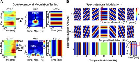 The Modulation Transfer Function And Best Spectrotemporal Modulation Download Scientific