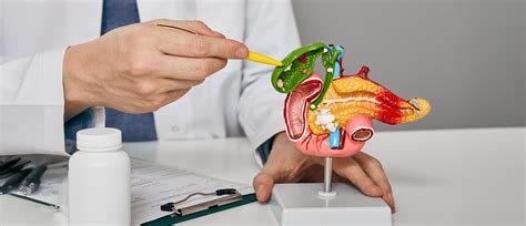 Afectiunile Colecistului Simptome Si Tratament Policlinica Analize