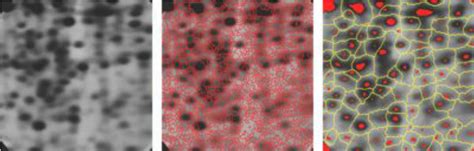 322 Watershed Transform Example 10 From Left To Right Original Download Scientific 322 Watershed Transform Example 10 From Left To Right Original Download Scientific