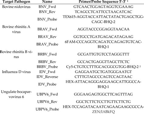 Oligonucleotide Pairs And Dual Labelled Hydrolysis Probe Sequences Used