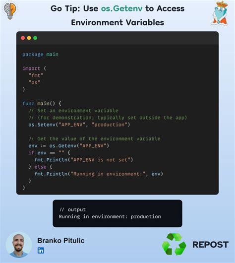 Go Golang Softwareengineering Softwaredevelopment Gophers Branko