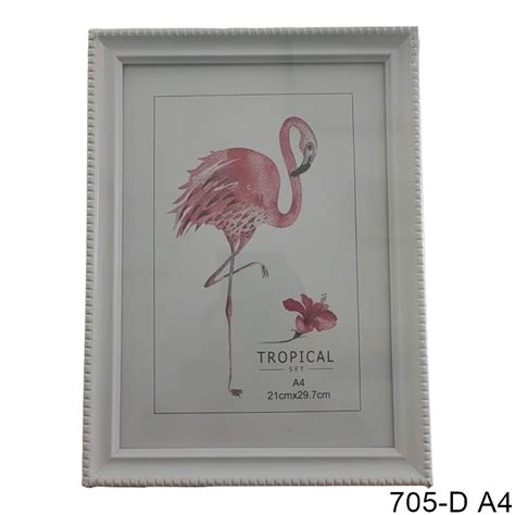 TRENY A Certificate Wall Hanging Frame Shattered Free Non Breakable Frame With PVC Sheet