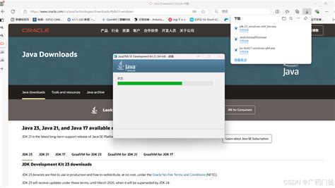 Java Sdk下载，解决下载了java但是编译不了java 编译不了sdk中的代码 Csdn博客