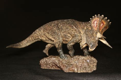 Turanoceratops Pictures And Facts The Dinosaur Database