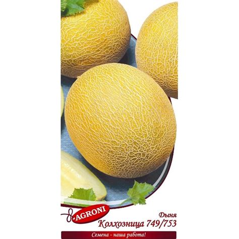 Дыня Колхозница 749/753 - Агрони - «Вырастила дыню в средней полосе и ...