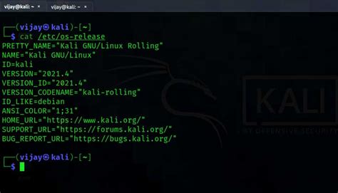 Update Kali Linux 2021 4 In One Command CyberPratibha