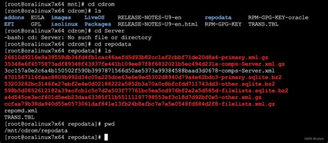 Linux安装oraclelinux 安装oracle数据库 Csdn博客