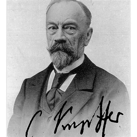 Portrait Of Kupffer Download Scientific Diagram