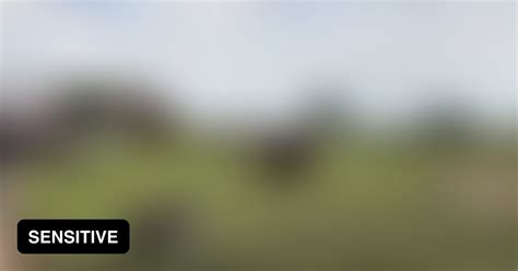 Bro Is Broest Of All Bros Gag