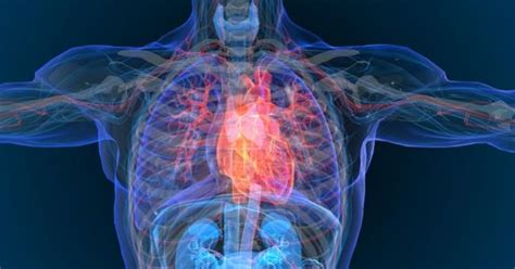 Lava Ecmo Early Data Point To Hemodynamic Benefits Safety