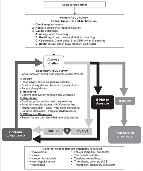 Acls Algorithmus Acls Bradycardia Algorithm Selassie Simon