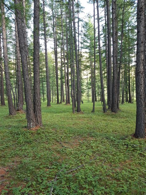 Дарь эх Дамба 7Буудал зарын нэгдсэн Gruop