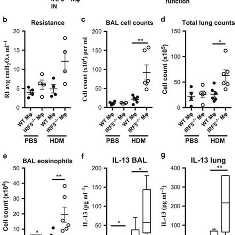 Interferon Regulatory Factor 5 Irf5 Expressing Alveolar Macrophage Download Scientific