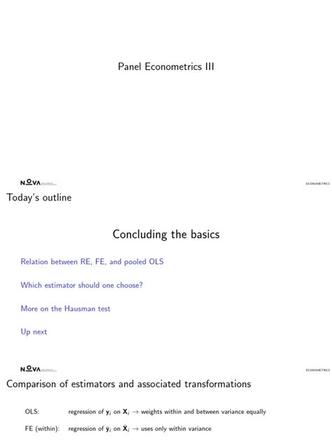 Panel Data Iii Pdf Ordinary Least Squares Econometrics
