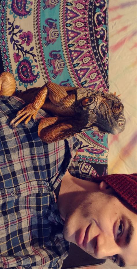 I Thought Iguanas Were Supposed To Be Mean A Friend Of Mine Went Into The Military And Gave Me