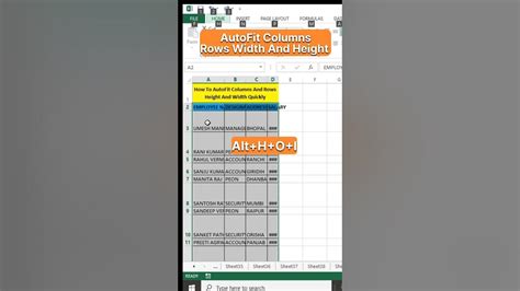 Autofit Columns And Rows Width And Height Quickly Shorts Excel Exceltips Exceltrick Msexcel