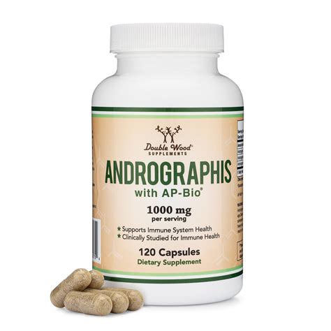 Andrographis Extract Capsules Immune Support Supplement