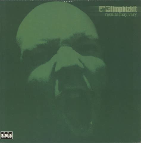 Limp Bizkit Results May Vary Us 2 Lp Vinyl Set —
