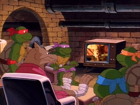 NSFW Turtle Power R WTF