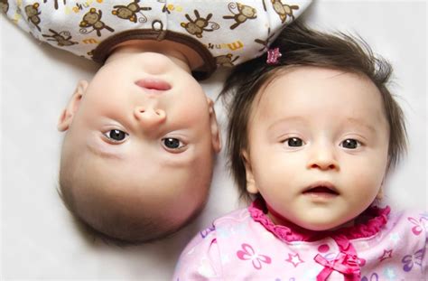 Can Twins Have 2 Different Fathers Can You Get Pregnant While Being