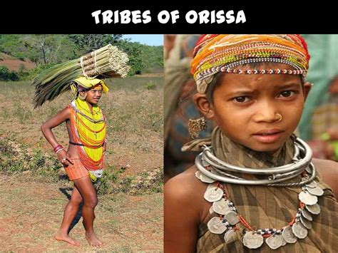Tribes Of Orissa Pptx