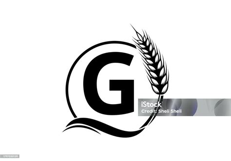 G 편지에 농업 밀 로고 농업 로고 디자인 서식 파일 음식 건강 한 영양 기호입니다 농업 사업 및 회사 아이덴티티를 위한 로고 건초 식물에 대한 스톡 벡터 아트 및 기타