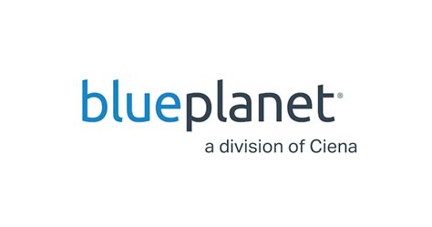 Blue Planet Cloud Native Oss With Multi Domain Orchestration Intellyx The Digital