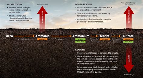 Nitrogen Stabilizers Nexusbioag