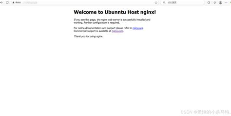 Docker 容器化部署核心实战：从镜像仓库管理、容器多参数运行到 Nginx 服务配置与正反向代理原理解析 Nginx Docker版本可正向代理 Csdn博客