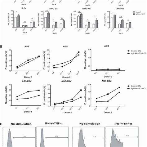 The Enhanced Cellular Response And Cytotoxicity Of Pd 1 Disrupted Ctl