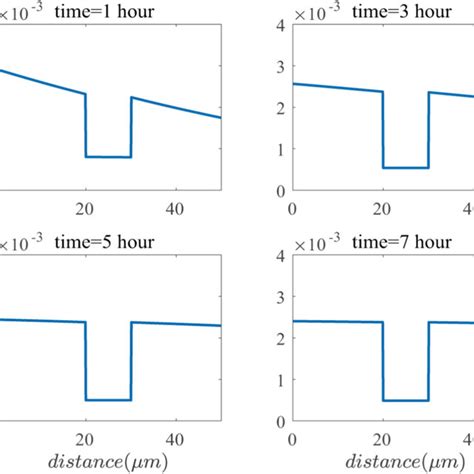The Evolution Of Distribution Of Nfs And Constriction Of Node Of