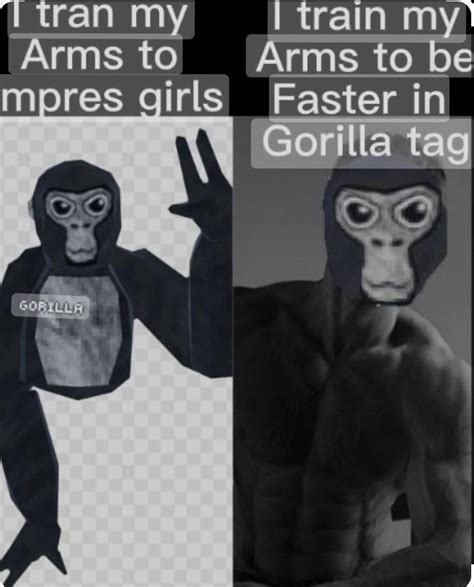 Gorillatagmeme