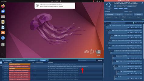 Windows And Linux Threats Malware Analysis In A Sandbox
