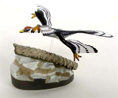 Feathered Dinosaurs Premium Box By Colorata Dinosaur Toy Blog