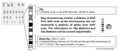 Ring Chromosome