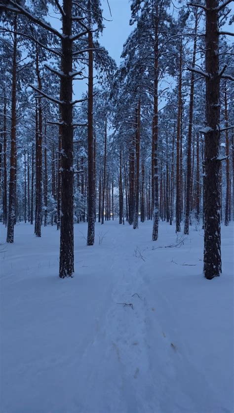 Обои на рабочий стол пейзаж зимой кругом снег рассвет лёд на