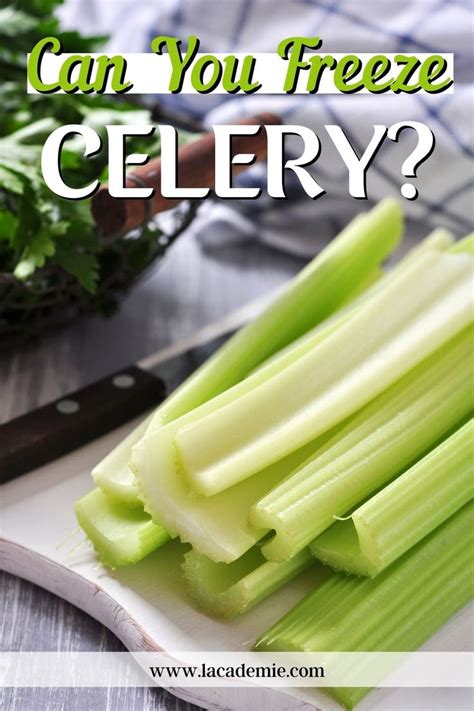 How To Freeze Celery 7 Easy Steps For Perfectly Frozen Celery Recipe How To Freeze Celery