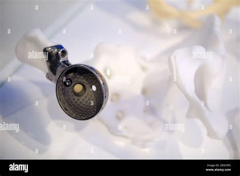 The Artificial Hip Joint Prosthesis Allows Individuals With Hip Disabilities To Walking And