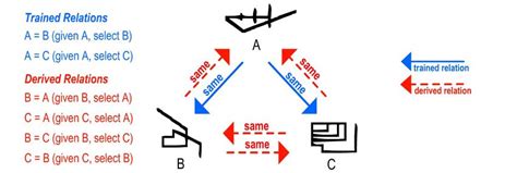 An Introduction To Relational Frame Theory Open Access Foxylearning