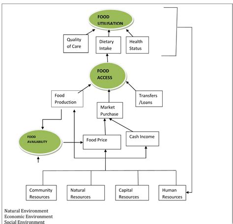 Food Security Conceptual Framework Adapted From Riely Et